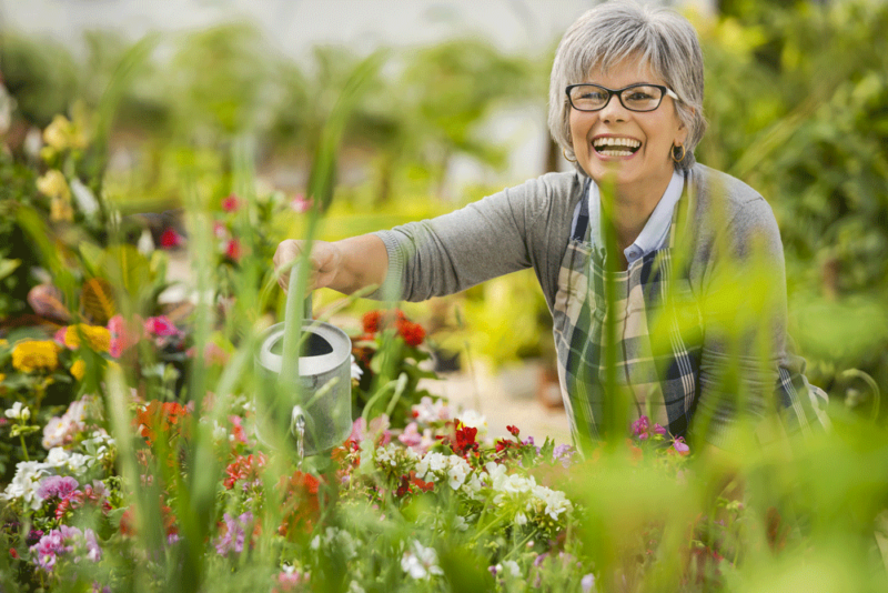 Gardening Tips for Seniors in Care Homes - Care At Home Services